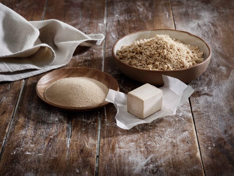 Exact Chemical Equation for Anaerobic Respiration in Yeast - 360Mag