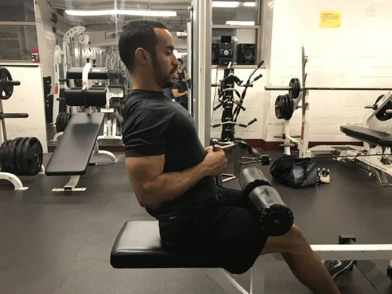 Seated Row Vs Bent Over Row! Which Is Right for You? - 360Mag Seated Row Vs Bent Over Row! Which Is Right for You? - 360Mag